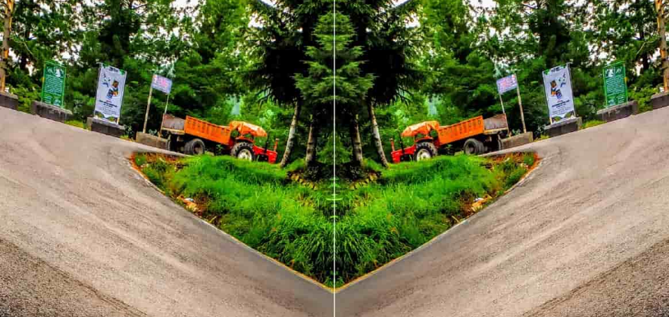 Why Does Camera Flip Image? [Complete Guide] – Wise Photographer