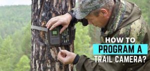 How to Program a Trail Camera? Features & Rookie Mistakes To Watch Out ...